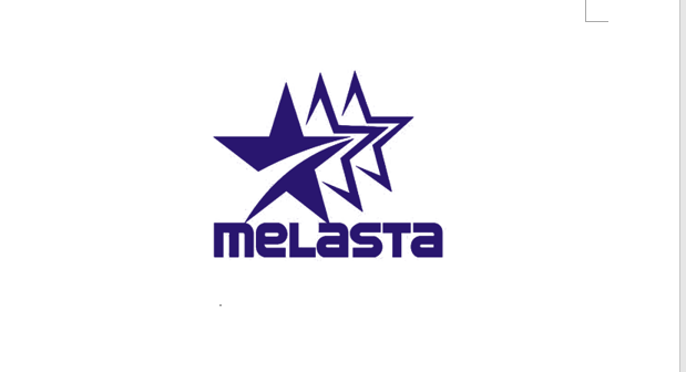 Melasta Corporation-A Professional battery and charger Provider